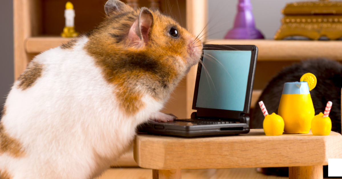 Mit dem Hamster durch digitale Welten | SMARTCITY JENA